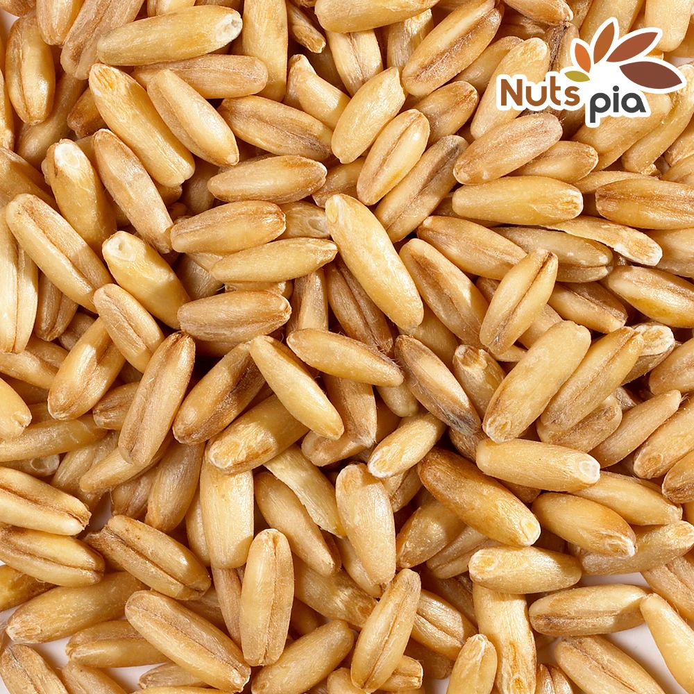 kamut 1kg + 1kg (total 2kg) grain ancient grain - AliExpress 2