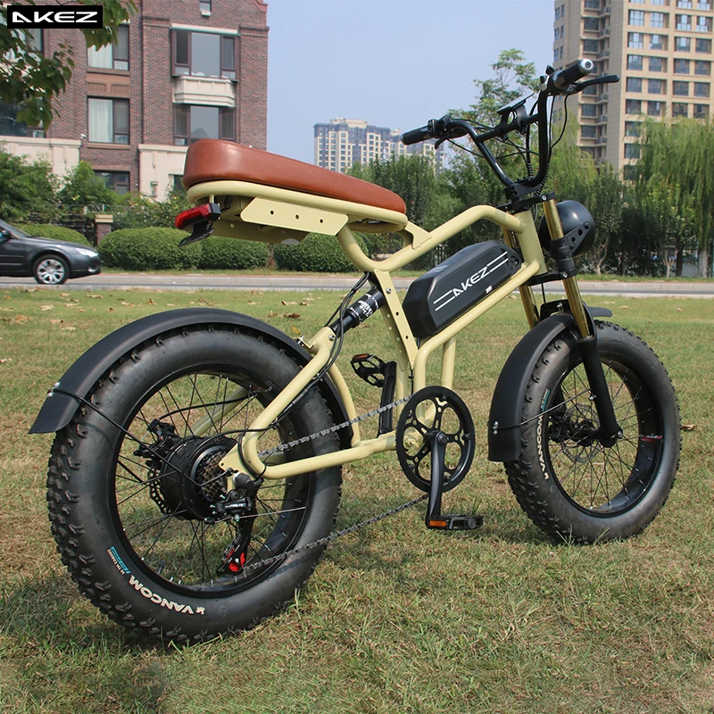 Adult-Variable-Speed-Off-Road-Power-Bicycle-Snow-Electric-Bike-20-48V ...