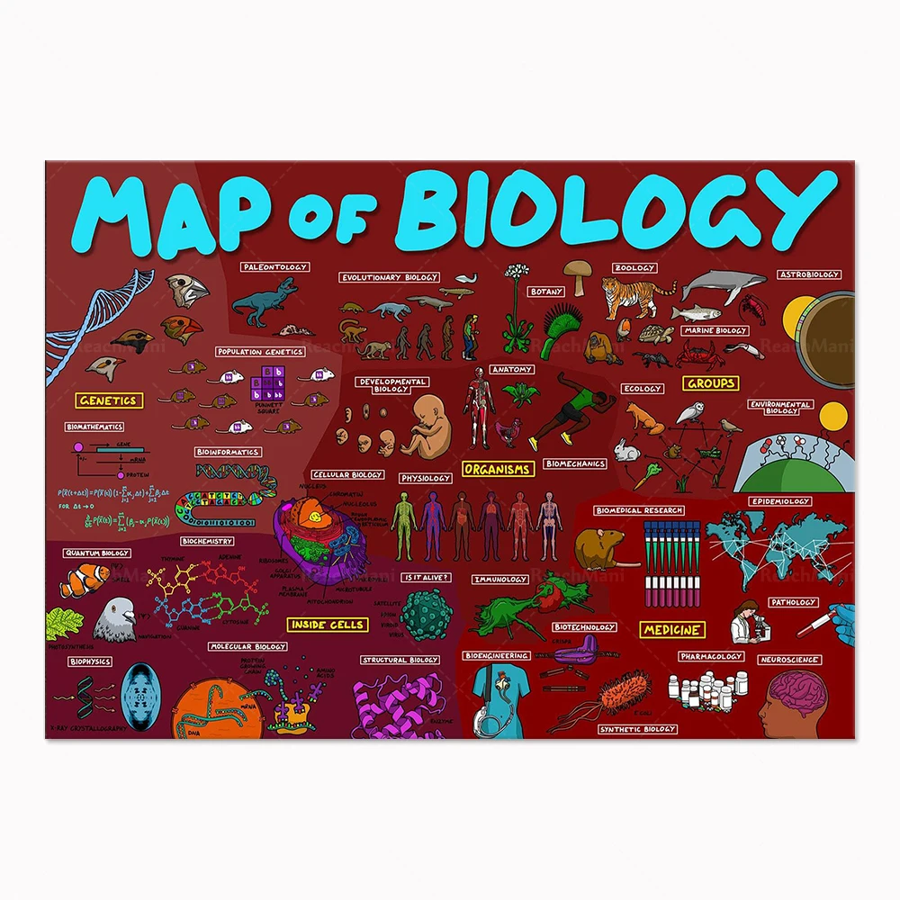 Biology Classroom Posters