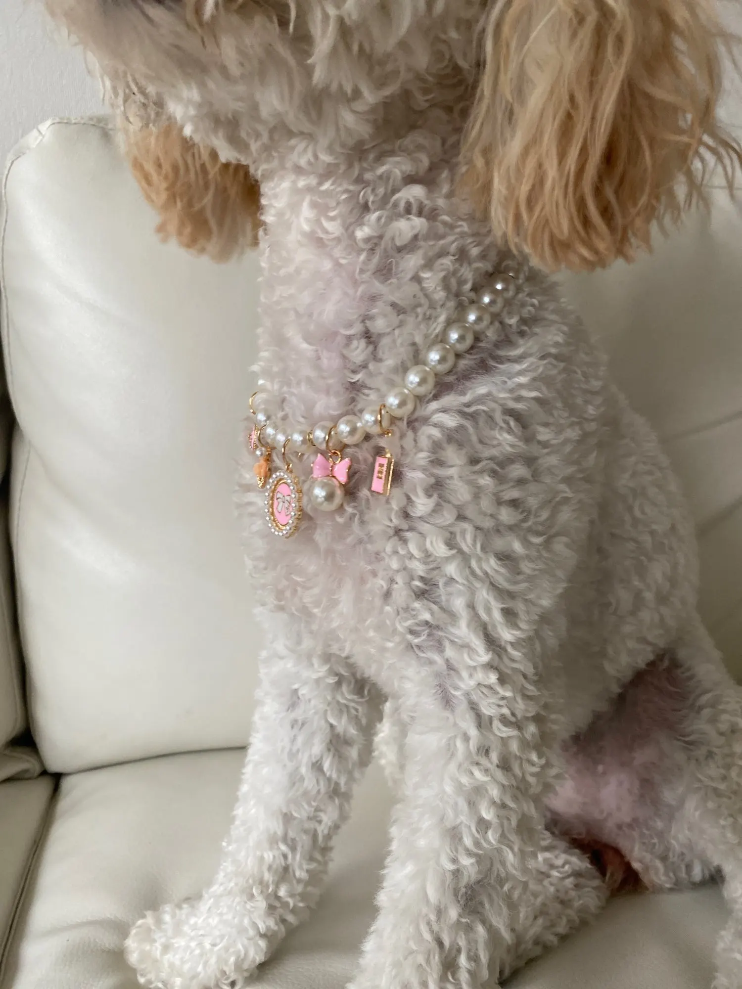 Dog Pearl Necklace – Sweet, Cute Princess Style – DogMega.Com