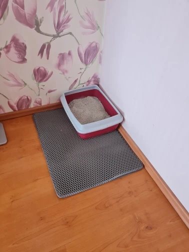 Mess Free Cat Litter Mat – QEEPIN