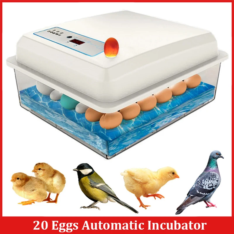 Juego-de-incubadora-de-20-huevos-para-el-hogar-m-quina-de-incubaci-n-de ...