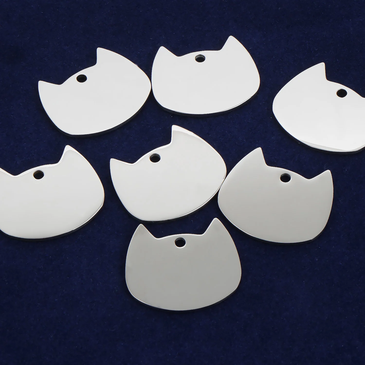 Blank Dog Tags Hanging