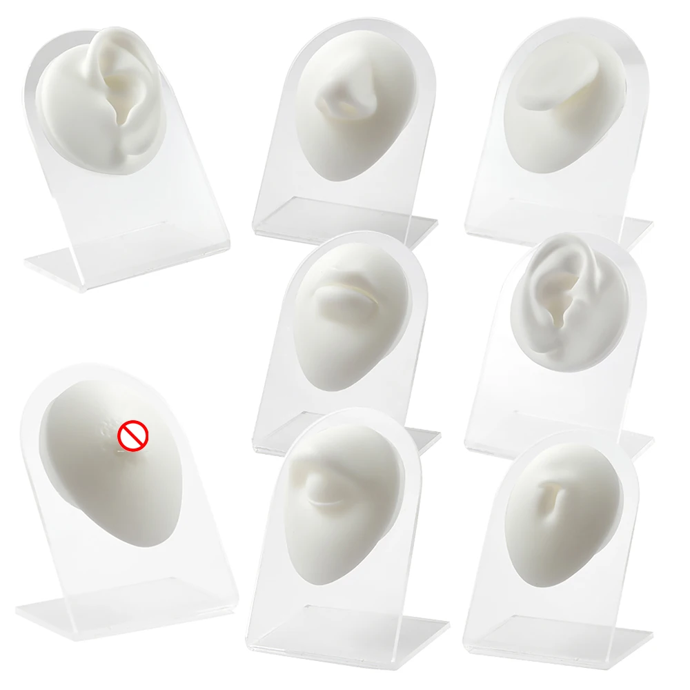 1PC Soft Flexible Silicone Human Body Model Displays White Ear Mouth ...