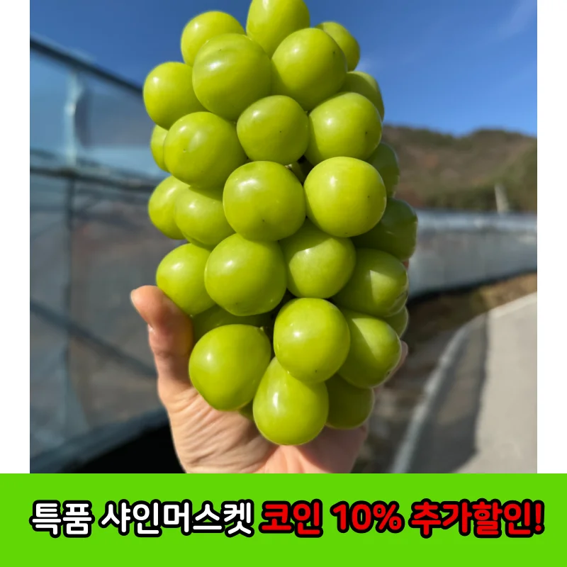 Af66c27d83d4a432bba5297e4b6194857t.png