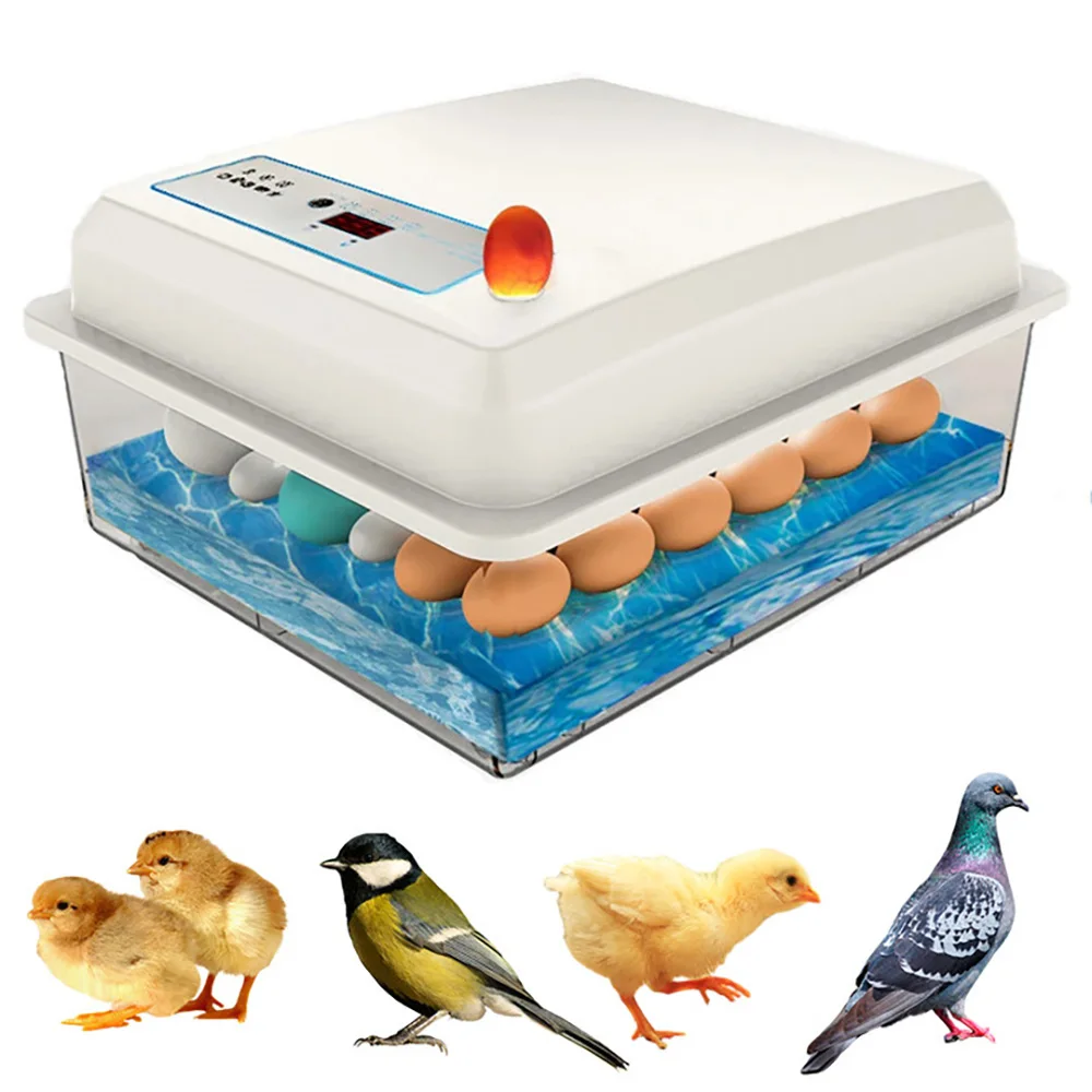 20-Eggs-Incubator-Mini-Incubators-Set-Household-Brooder-Farm-Chicken ...