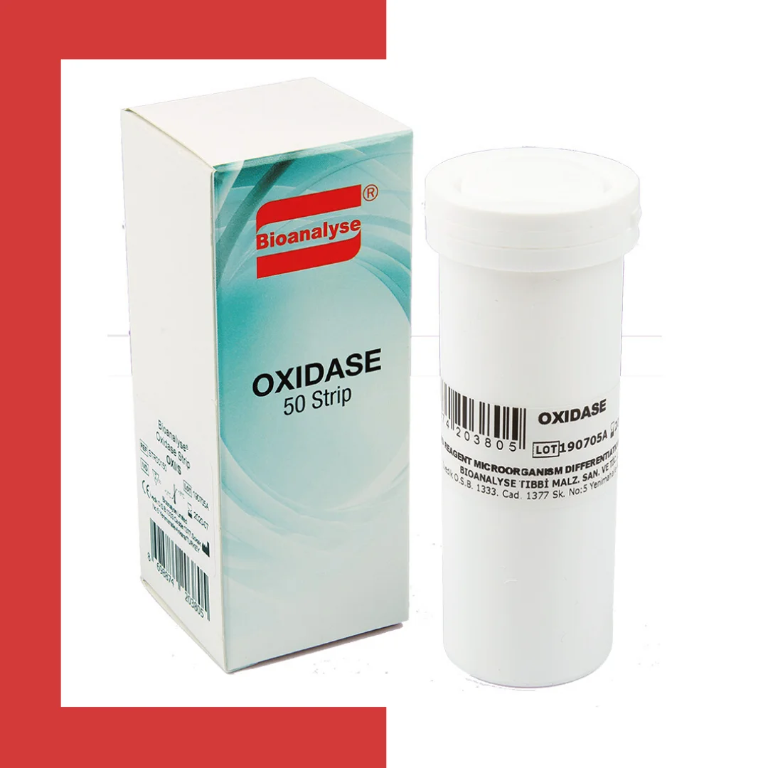 Oxidase Test