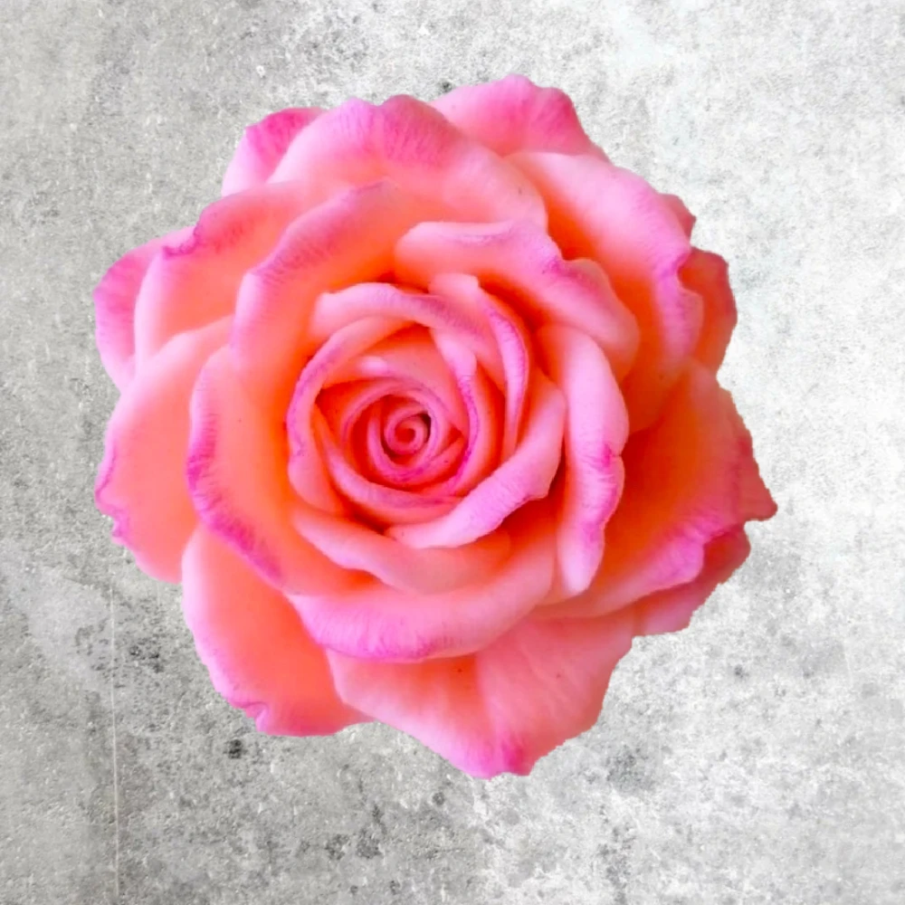 Silicon-form-Rosa-LAVINIA-3D-for-creativity-soaping-Shikar-Rose-3D ...