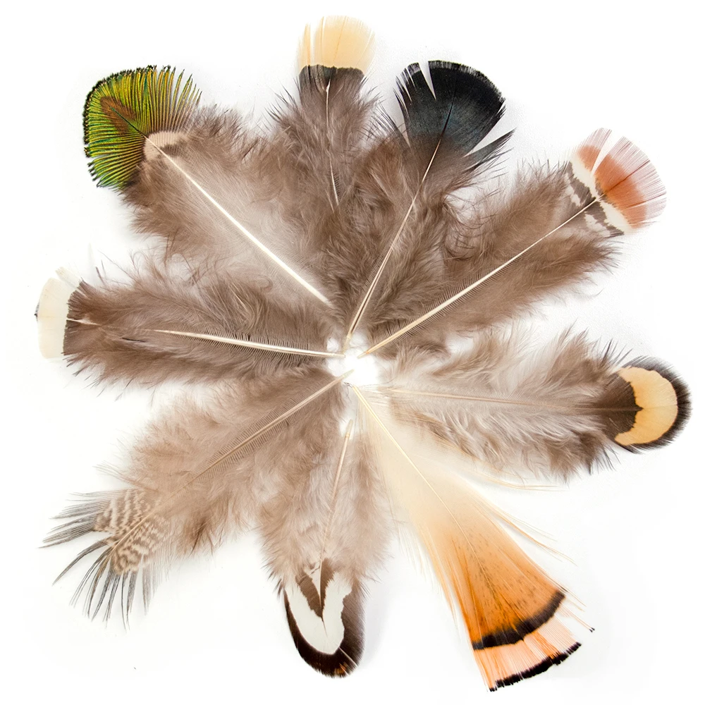 Venta-al-por-mayor-de-plumas-de-pollo-de-fais-n-de-pavo-real-mezcladas ...