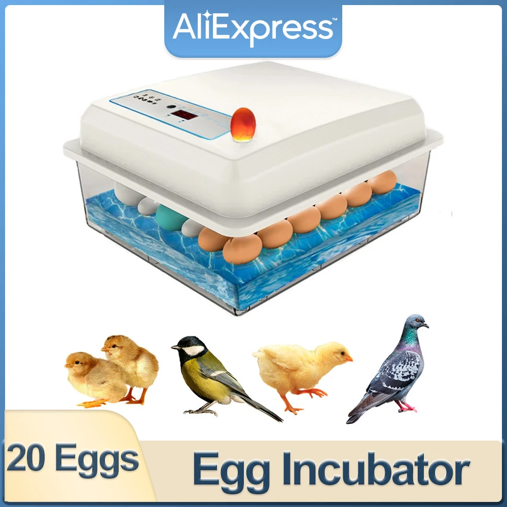 220V-20W-20-Eggs-Incubator-Set-Fully-Automatic-Household-Brooder-Farm ...