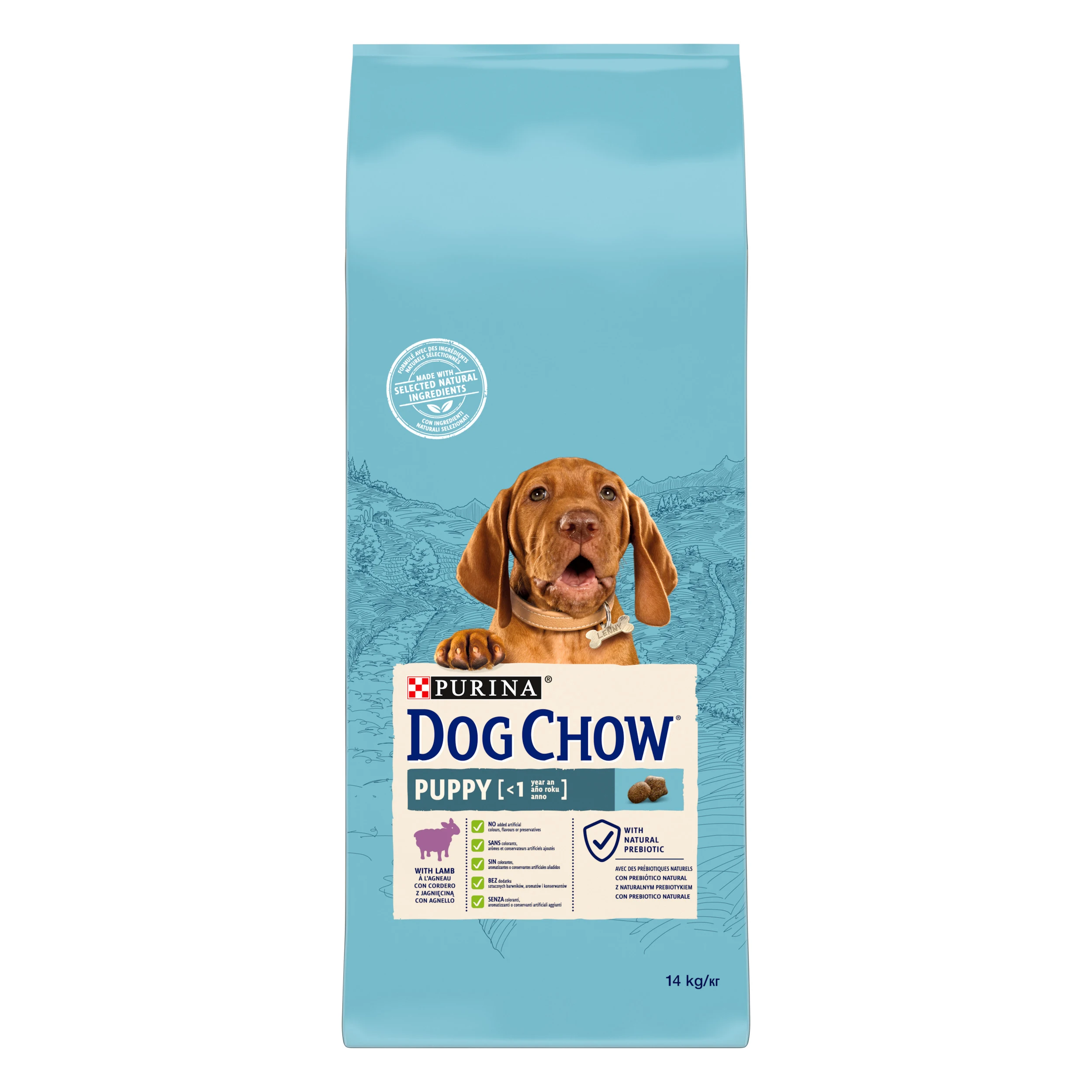 Todo lo que debes saber sobre la comida natural para perros