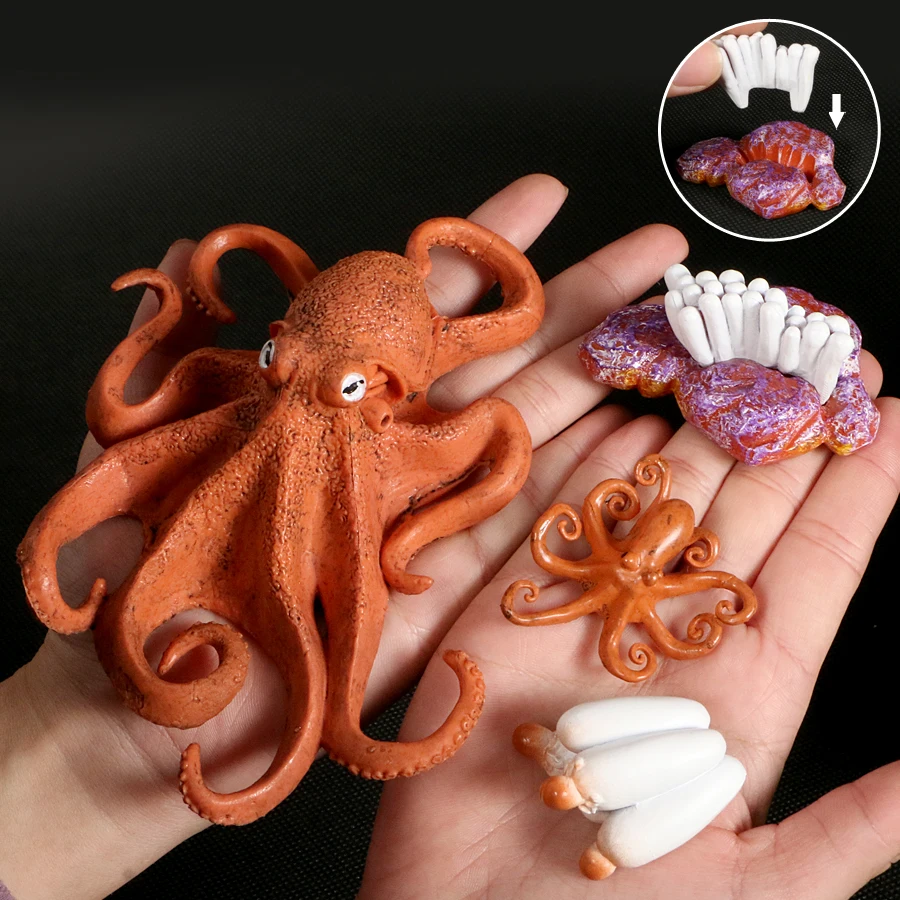 Bear Shark Octopus Scorpion