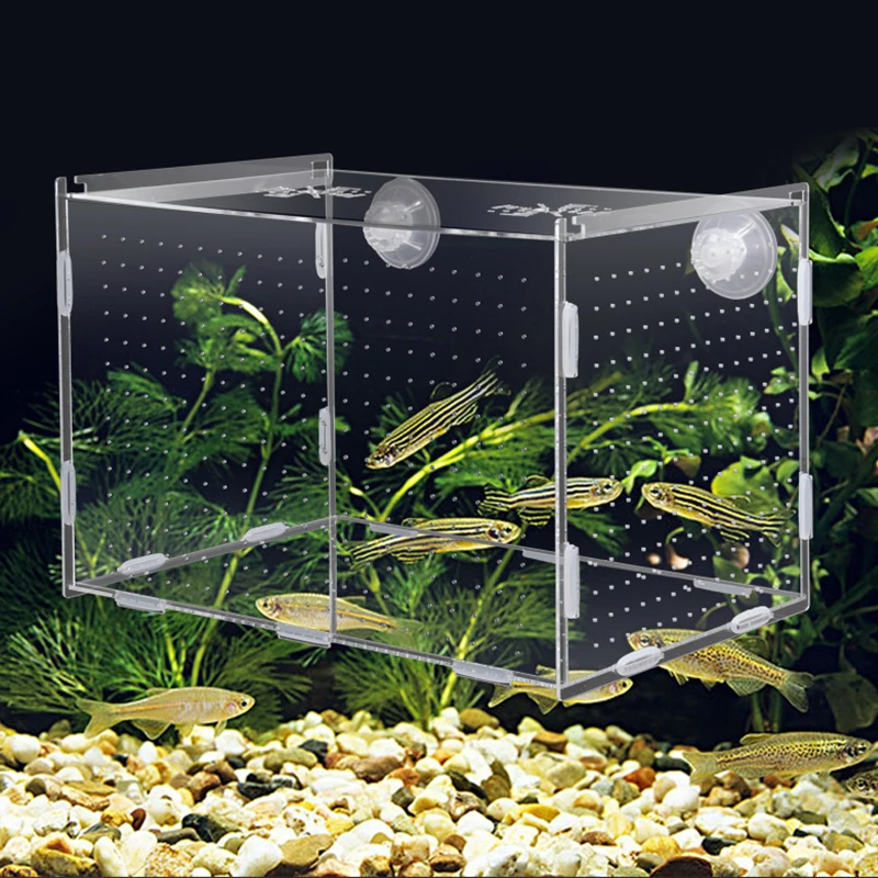 Aquarium Isolation Box Fish Tank Small Fry Breeding Box Multifunctional ...