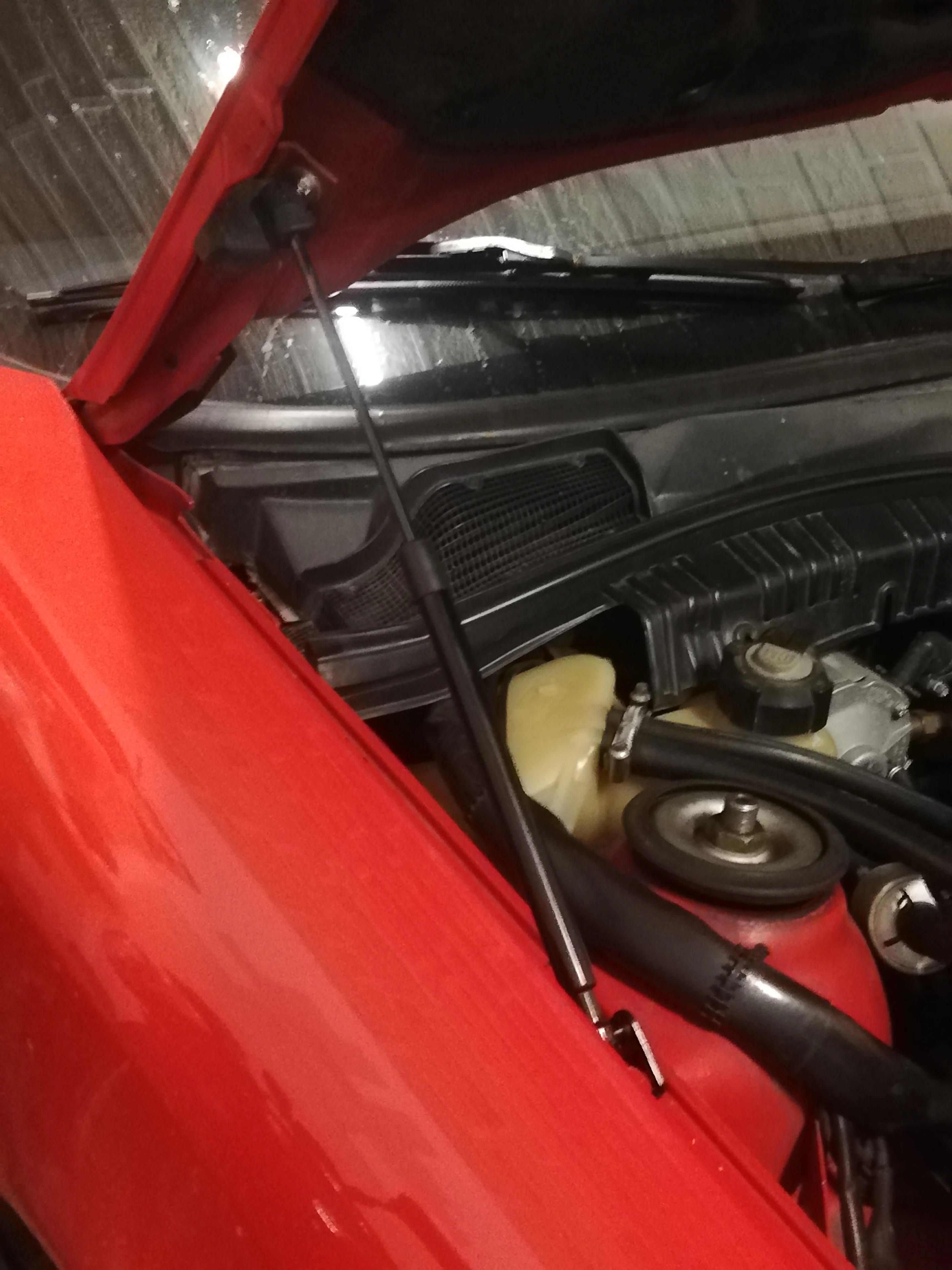 Opel Calibra Dtm Front Suspension Strut