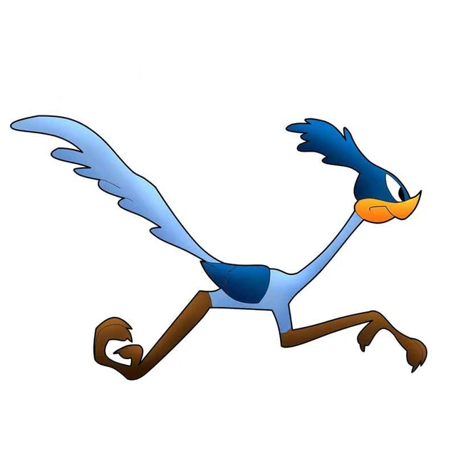 Road Runner Cartoon Running