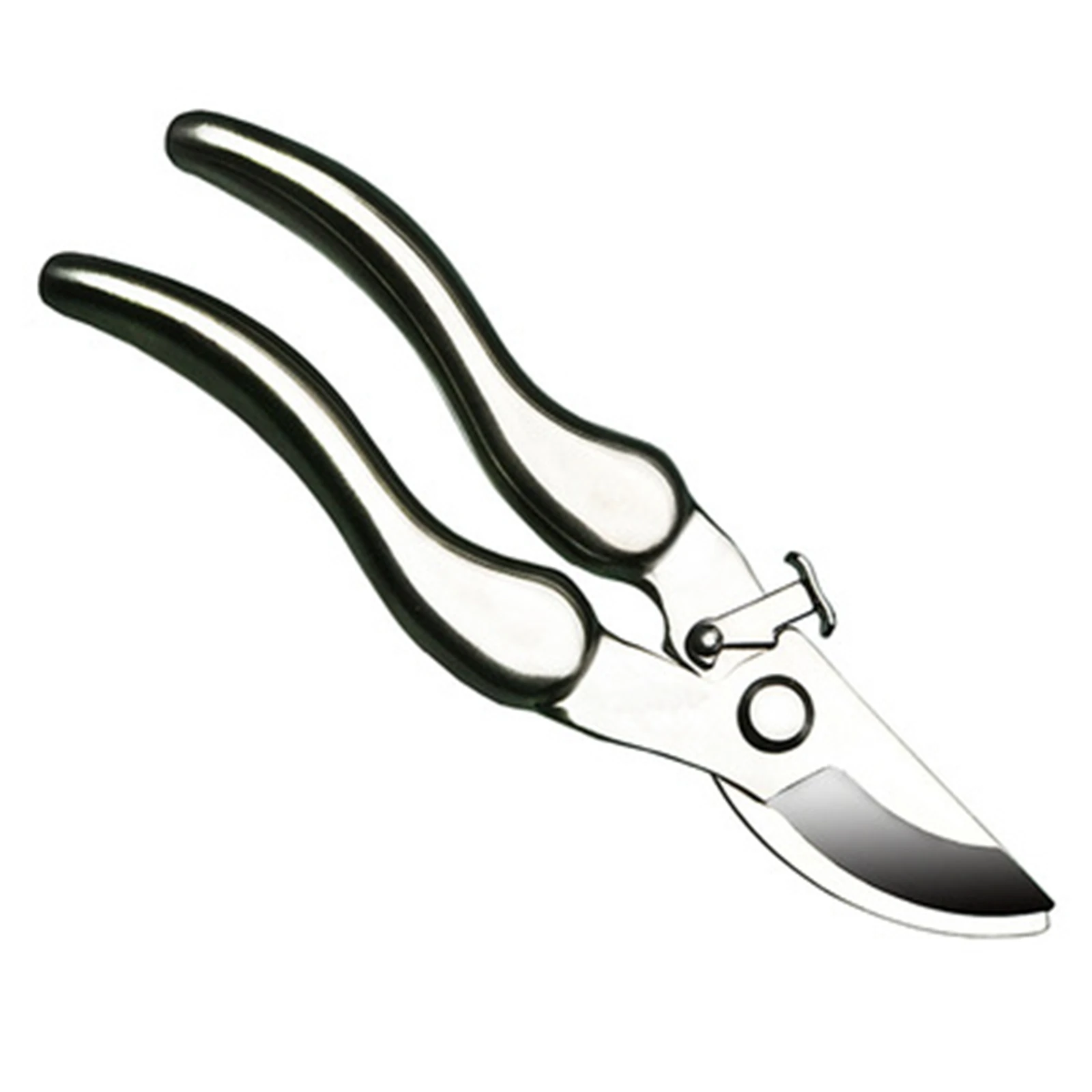 Pruners Clipart Sun
