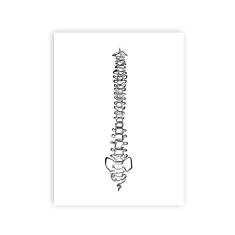Skeleton Spine Drawing