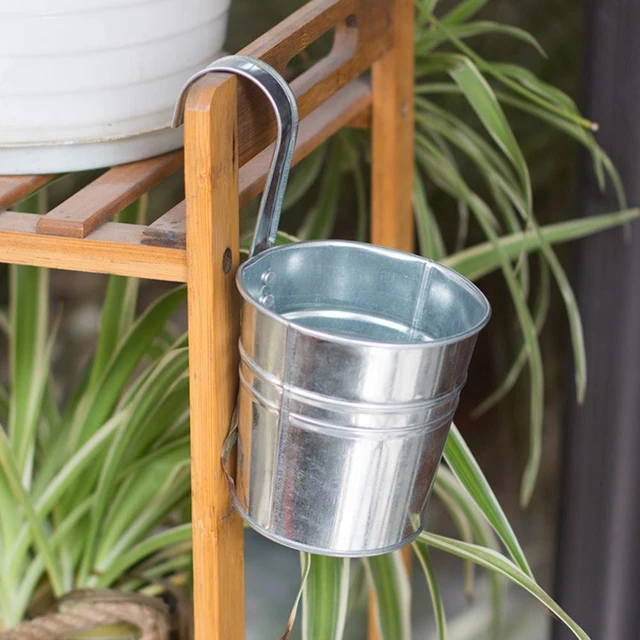 Stainless Steel Plant Containers