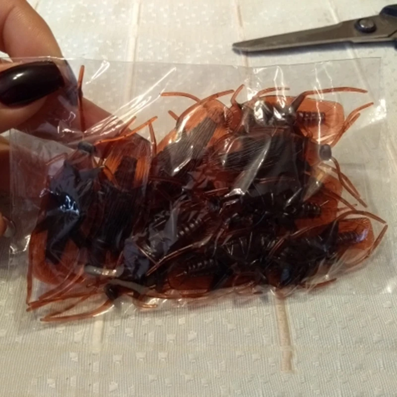 A Pack 12pcs Real Touch Cockroach Halloween Novelty Disgusting Bugs ...