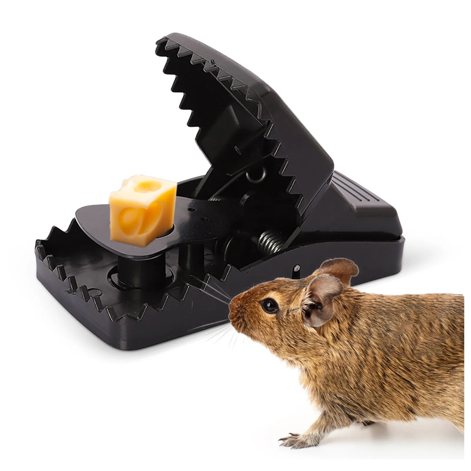 6pcs Set Pest Control Reusable Rat Catching Mice Mouse Traps Mousetrap