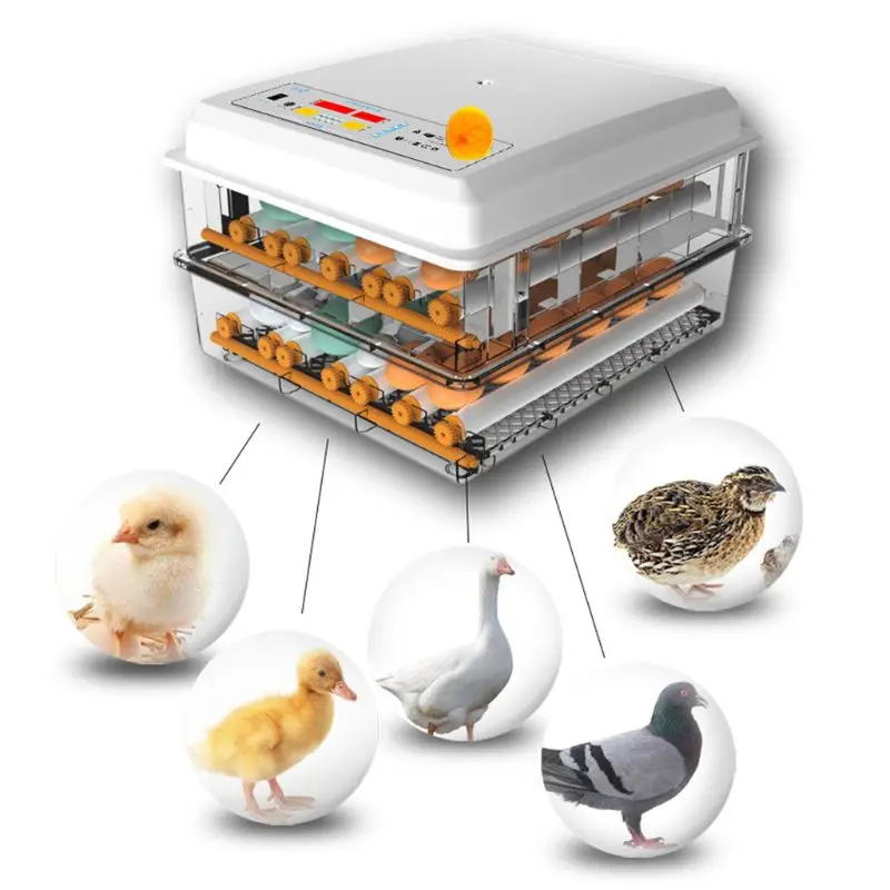 Couveuse Oeuf Incubateur Automatique Poussins 48x30x30cm - Blanc ...