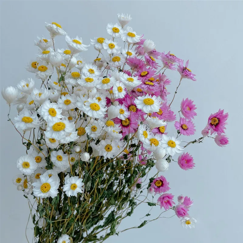 Floral Arranging Craft Supplies & Tools DIY Dried Flowers Wedding ...