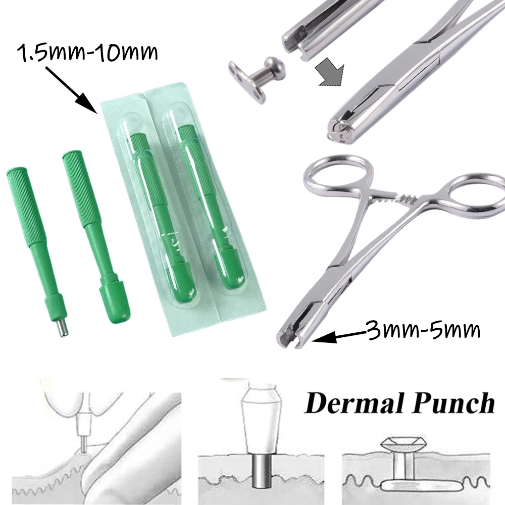 Disposable-Biopsy-Dermal-Punch-For-Skin-Dermal-Anchor-Holding-Tube-Tool ...