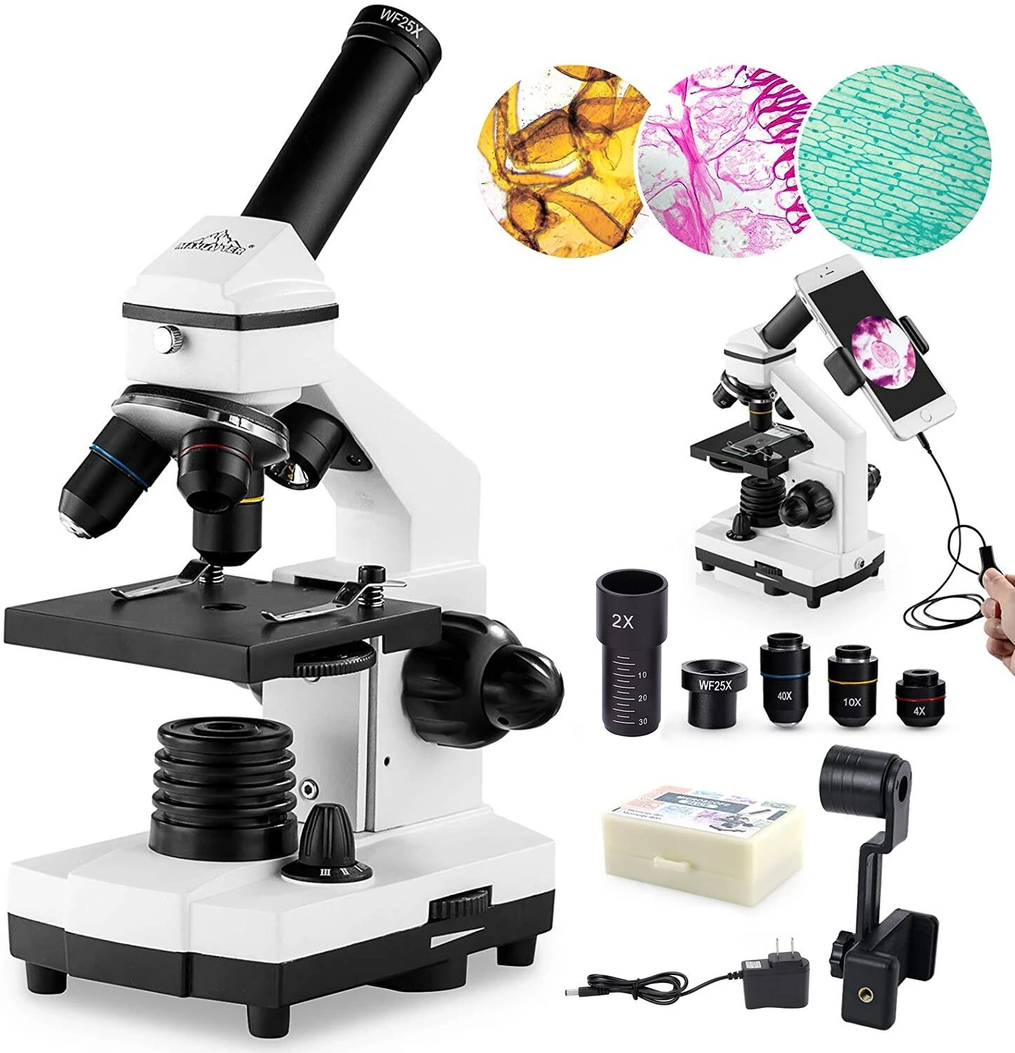 100x-2000x Microscope Slides Set Powerful Biological Microscopes For ...