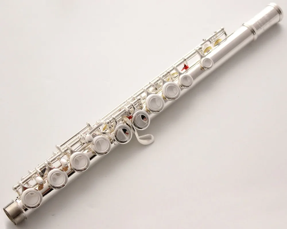 New-De-Xin-Flute-362-Silver-Plated-Professional-Flute-Instrument ...