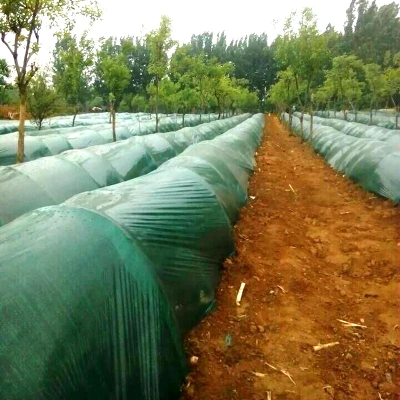 1m Width:1m 1.2m 2m Green Film Vegetable Ginger Planting Mulch Film ...