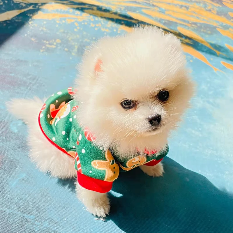 Christmas Cute Pomeranian Hoodie Dog Sweater for Small Dogs Pets ...