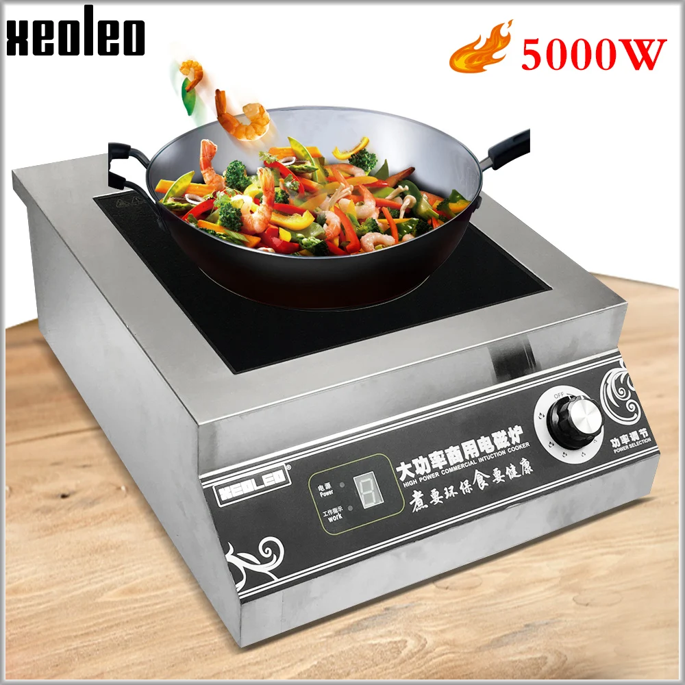 XEOLEO 5000W Commercial Induction Flat furnace Hearth Cooking Heating ...