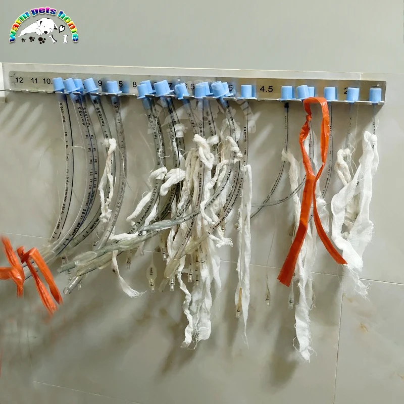 Endotracheal Tube Storage Veterinary Shops | www.oceanproperty.co.th