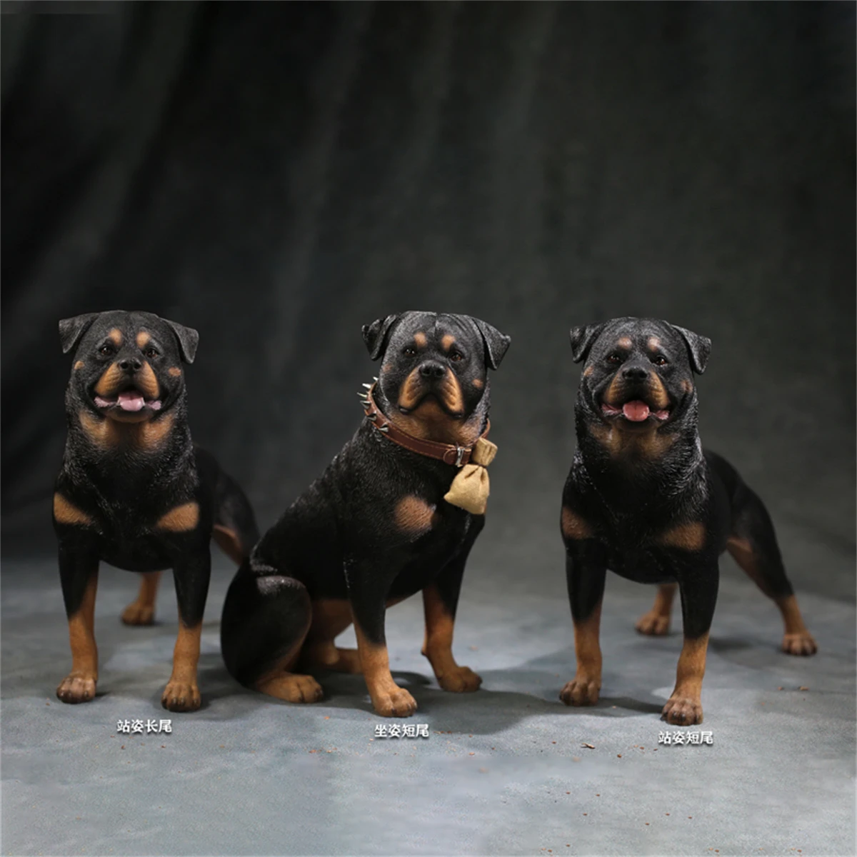 Are Rottweilers Loyal
