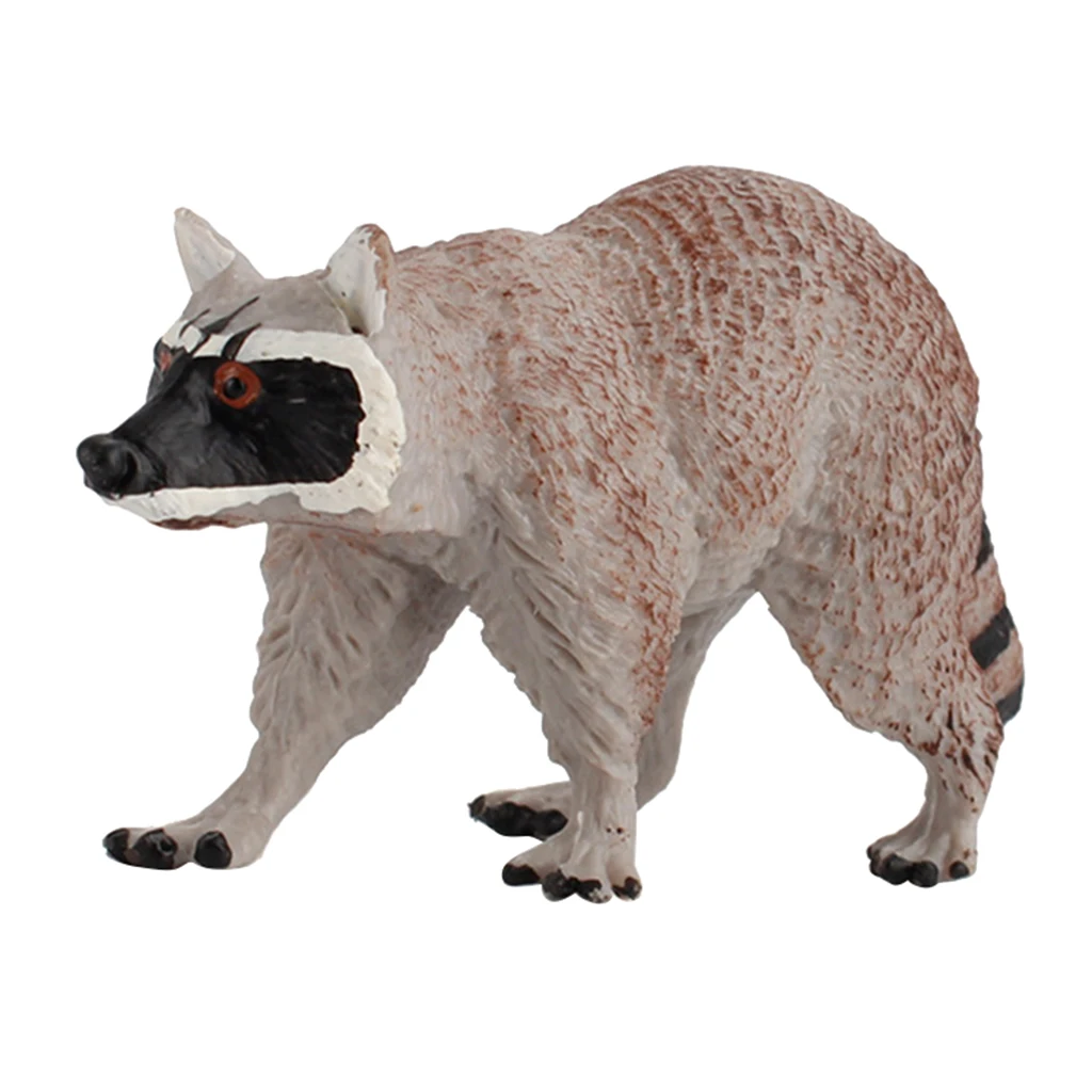 Safari Ltd Raccoon