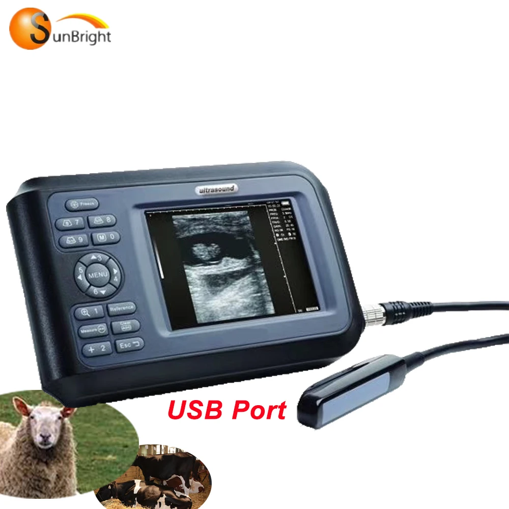 Palm size portable ultrasound scanner veterinary sheep pregnancy tests ...