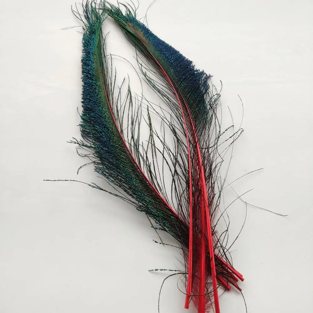 Espada de pluma de pavo real roja bonita, decoración simétrica ...