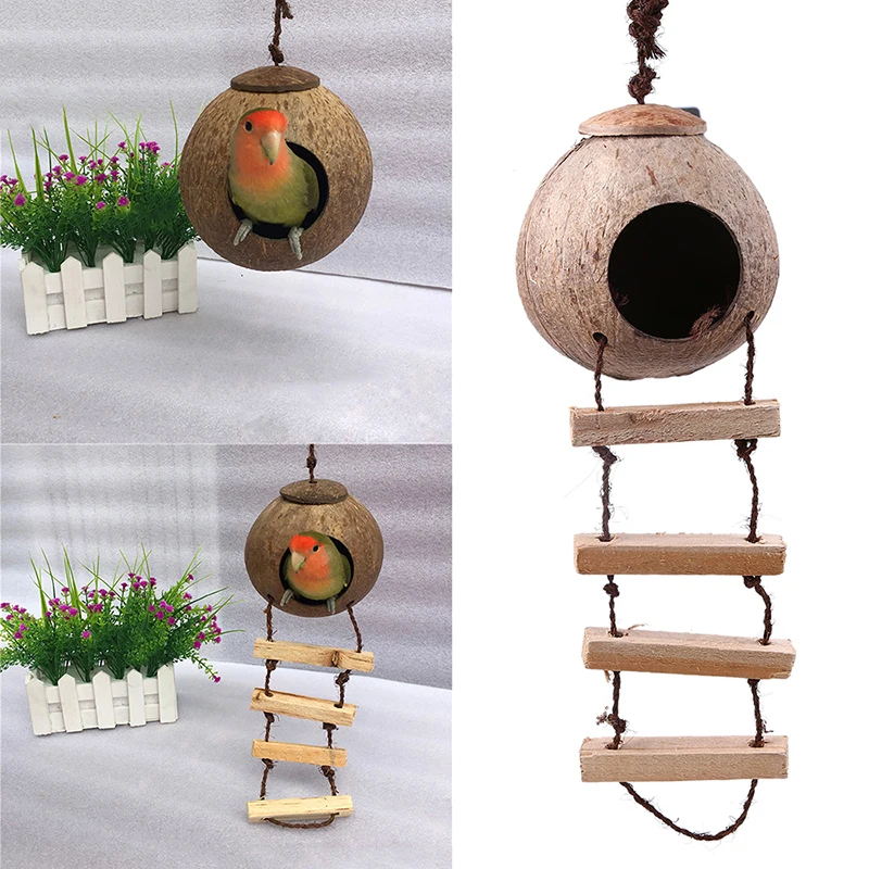 Casa de pájaro colgante, concha de fibra de coco Natural, alimentador ...