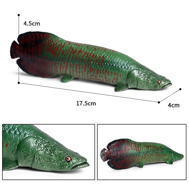 Arapaima Fish Scales