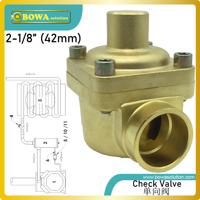 2-1-8-plunger-Check-Valve-need-disassemble-the-valves-before-starting ...
