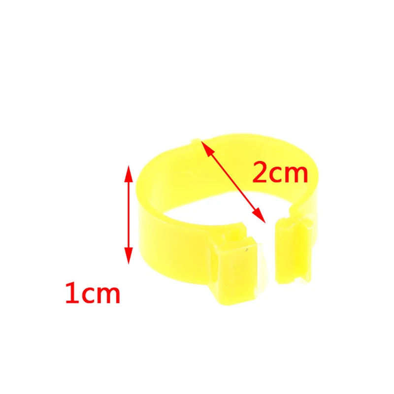 20 pcs Inside diameter 2.0 cm Chicken Ring Hen Leg Pigeon Band Poultry ...