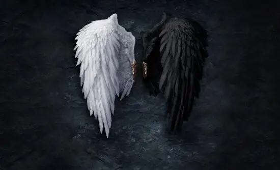 Anime Angel With Black And White Wings