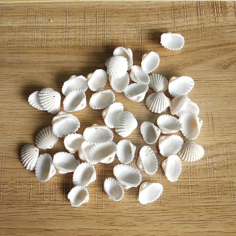 30Pcs Mixed Colorful Scallop hole Shell Natural Seashell from Sea Beach ...