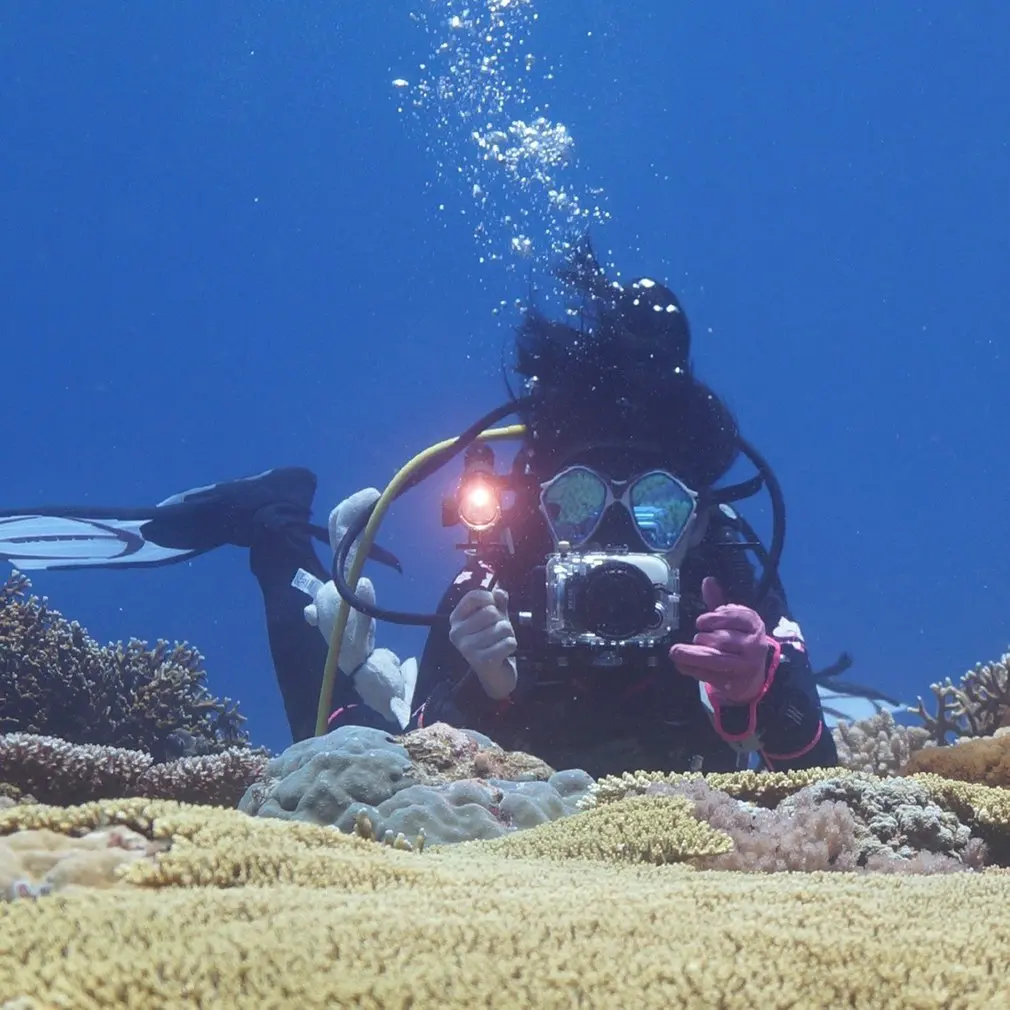 Diving Camera Stabilizer Underwater Grip Handheld Holder Double-Arm ...