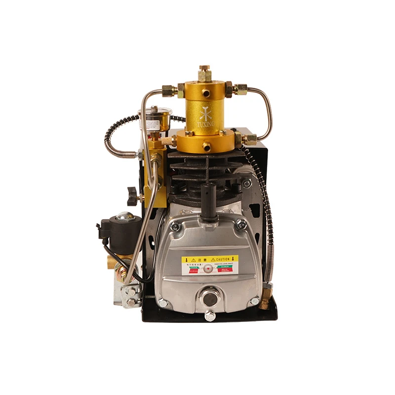 TUXING 4500PSI 300Bar PCP Air Compressor Auto Purge and Adjustable Auto ...