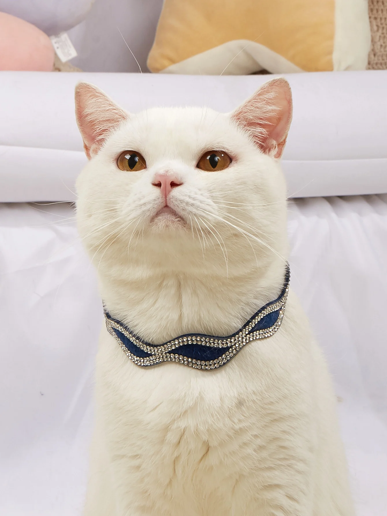 Pet-Collar-Elastic-cat-and-Dog-Necklace-Jewelry-Multi-Colored-Collars.jpg