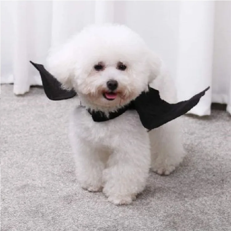 Pet Bat Wing Costume | That's So Fetch!