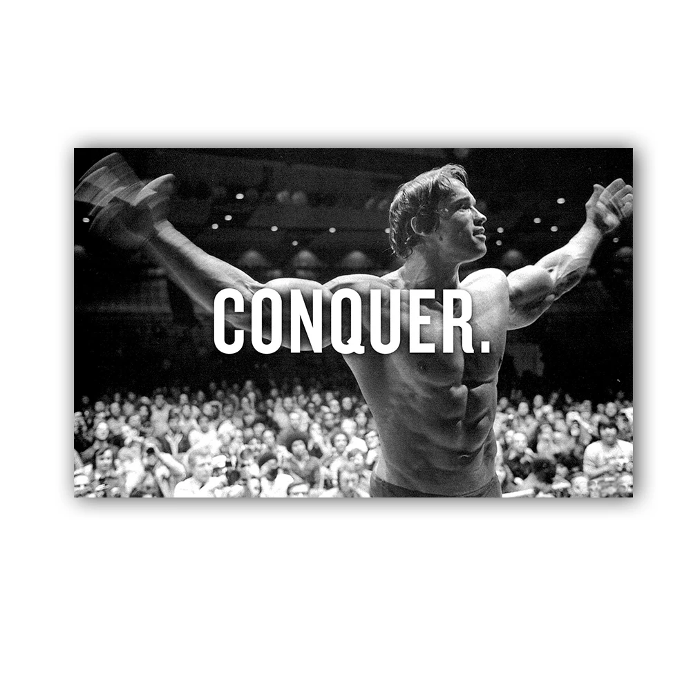 Arnold Schwarzenegger Poster Conquer