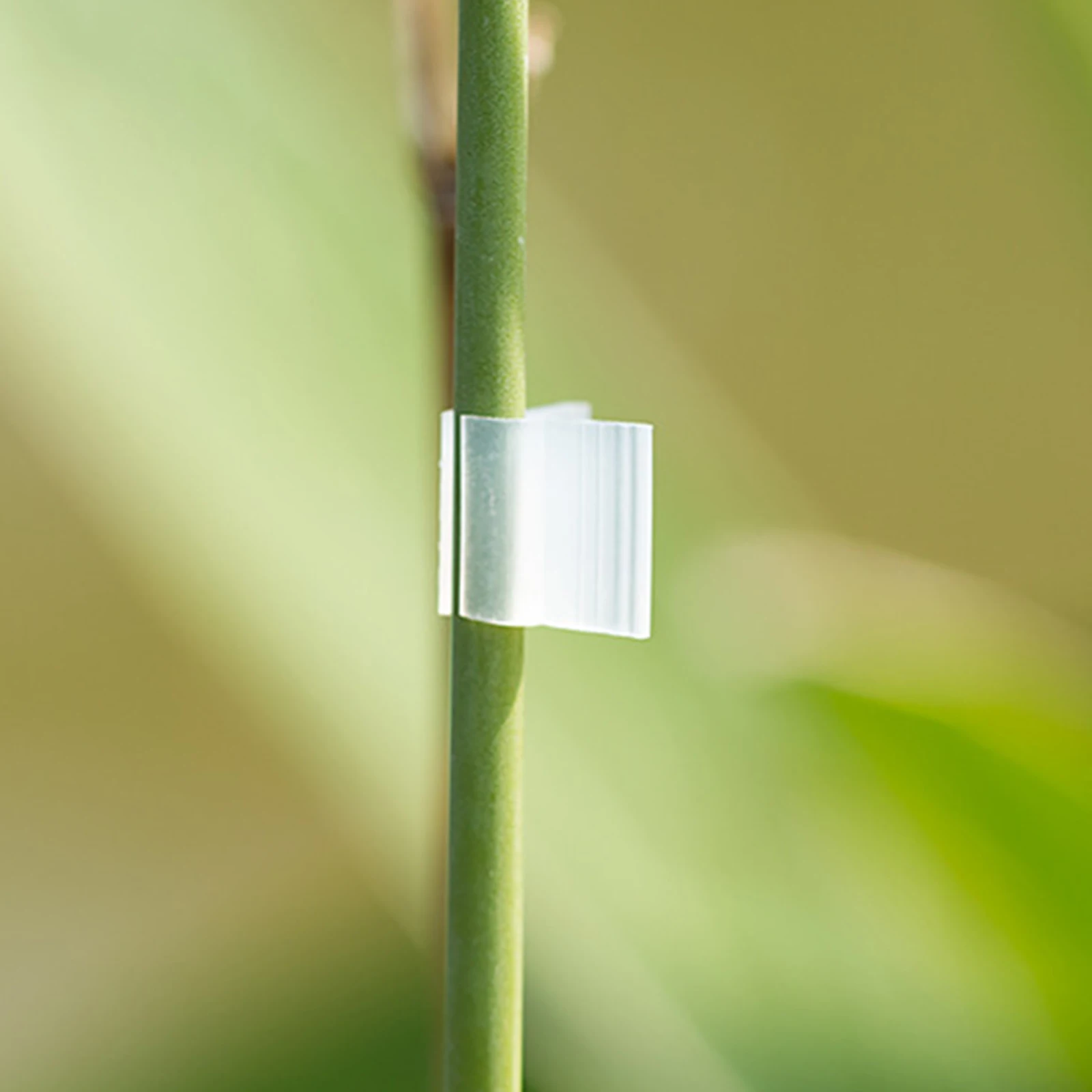 Tuteur Plante,Clips de Support de plante en plastique,100 pièces,Clips de greffage pour Tube ...