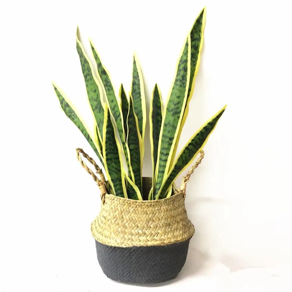 Planta Espada-de-são-jorge artificial de 60cm (sansevieria trifasciata ...